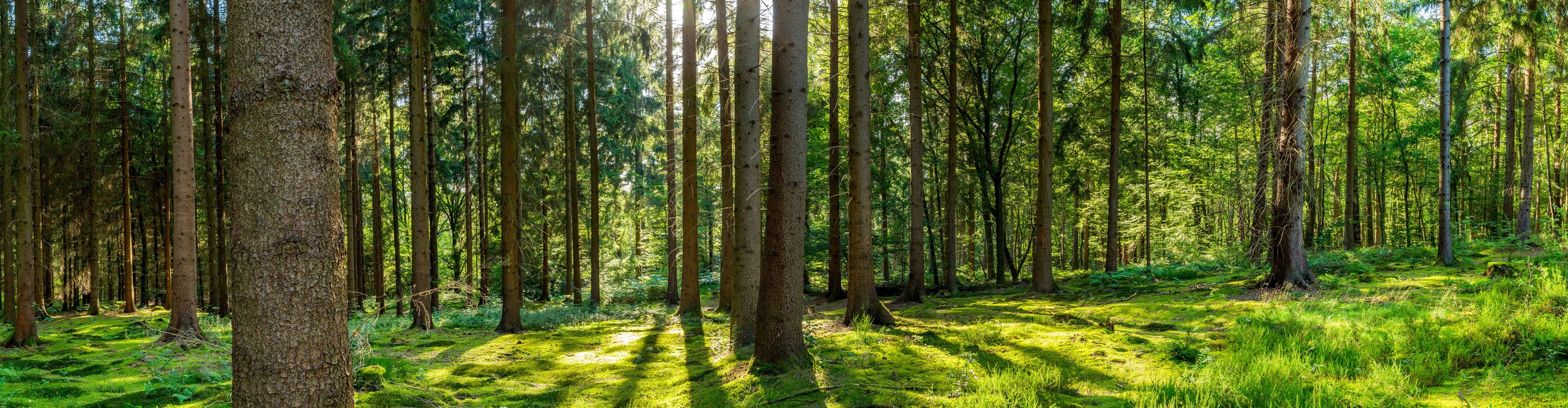 Nachhaltigkeit - weka-sebnitz.de